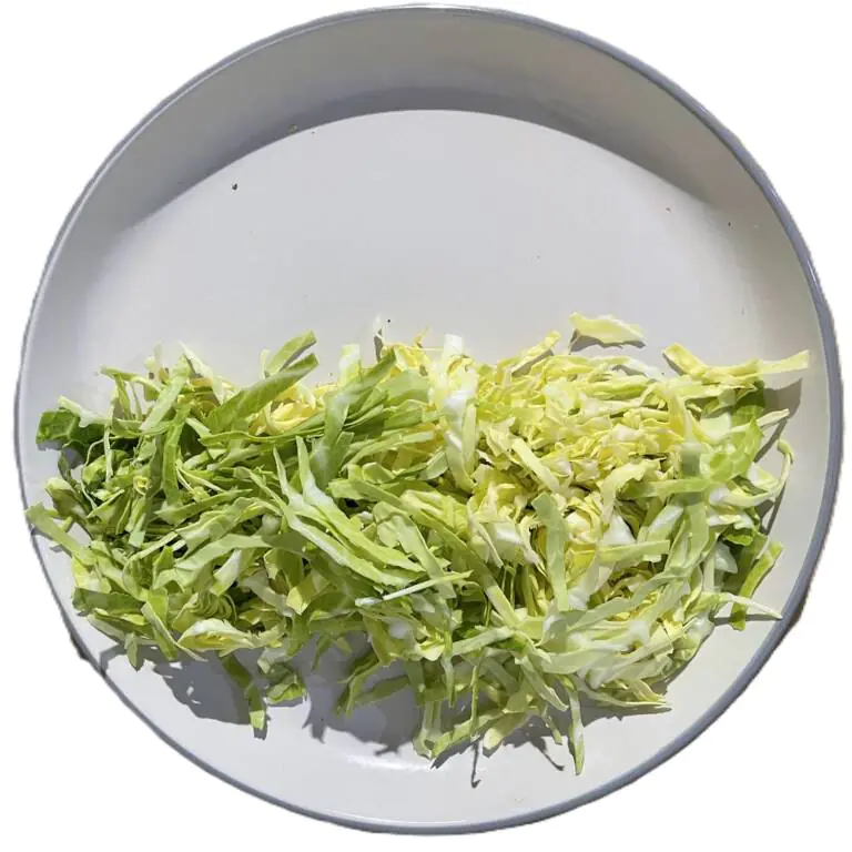 CABBAGE GREEN SHREDDED Prepared 5Kg bag | Collins Fresh