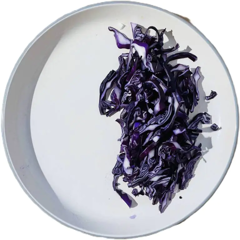 CABBAGE RED SHREDDED Prepared 5Kg bag | Collins Fresh