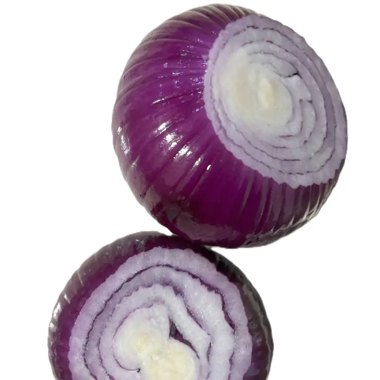 ONION RED Prepared 5Kg bag | Collins Fresh